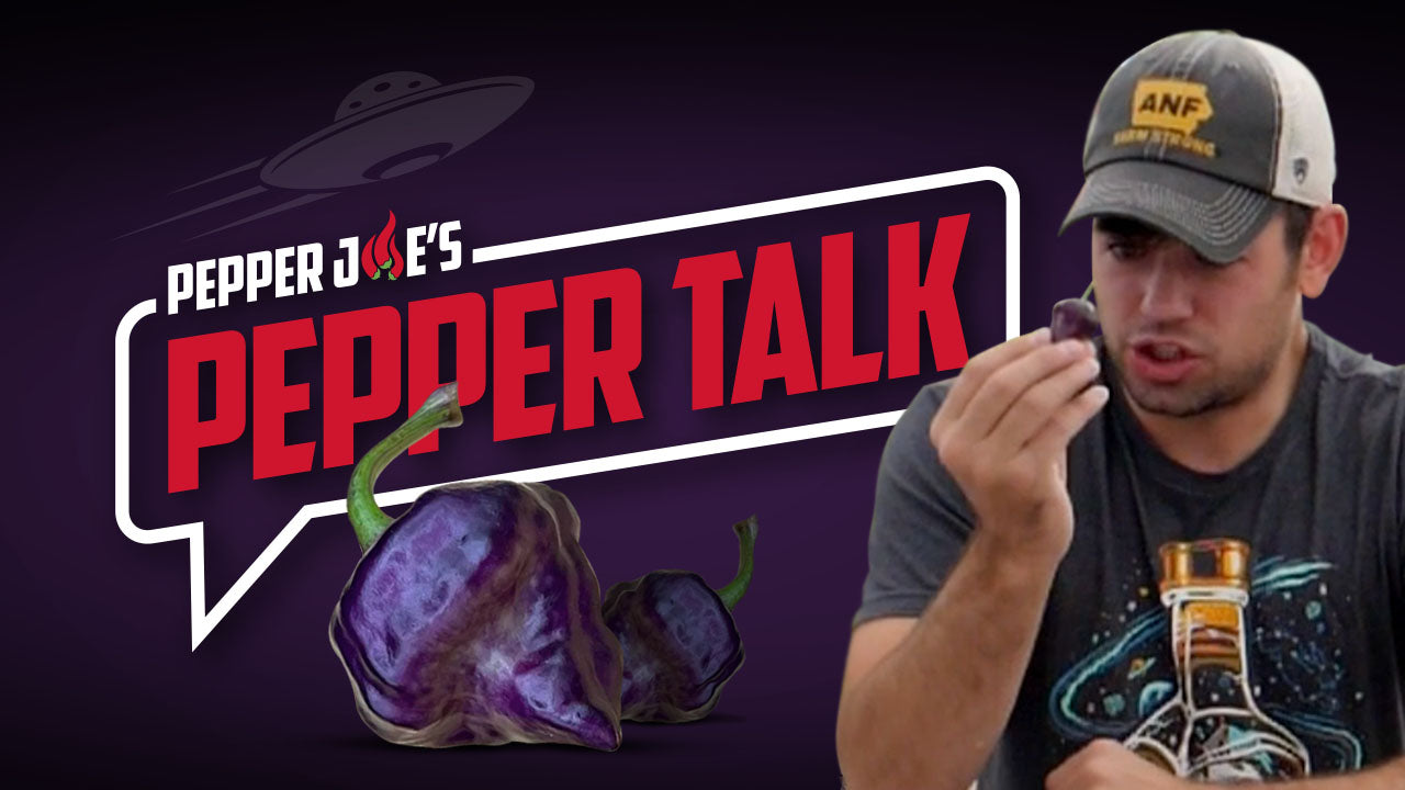 Pepper Talk | Pepper Information & Eating | Pepper Joe’s