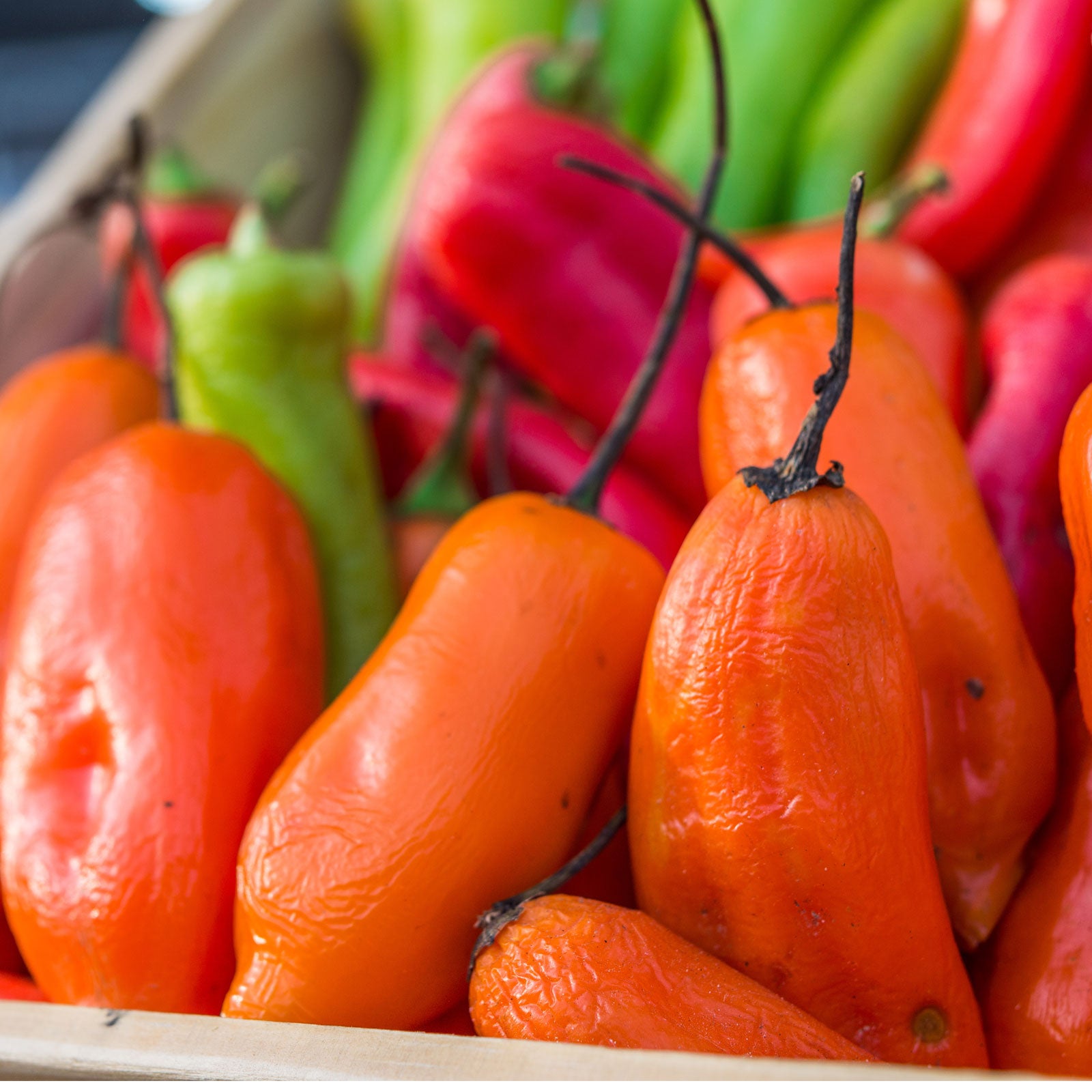 Aji Pepper Seeds | Pepper Joe’s