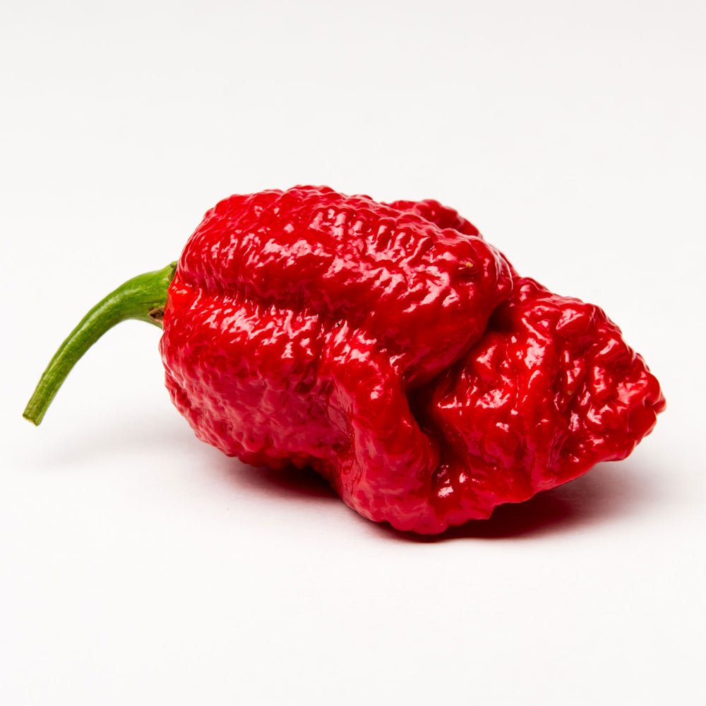 Shop Pepper Seeds by Variety – Pepper Joe’s