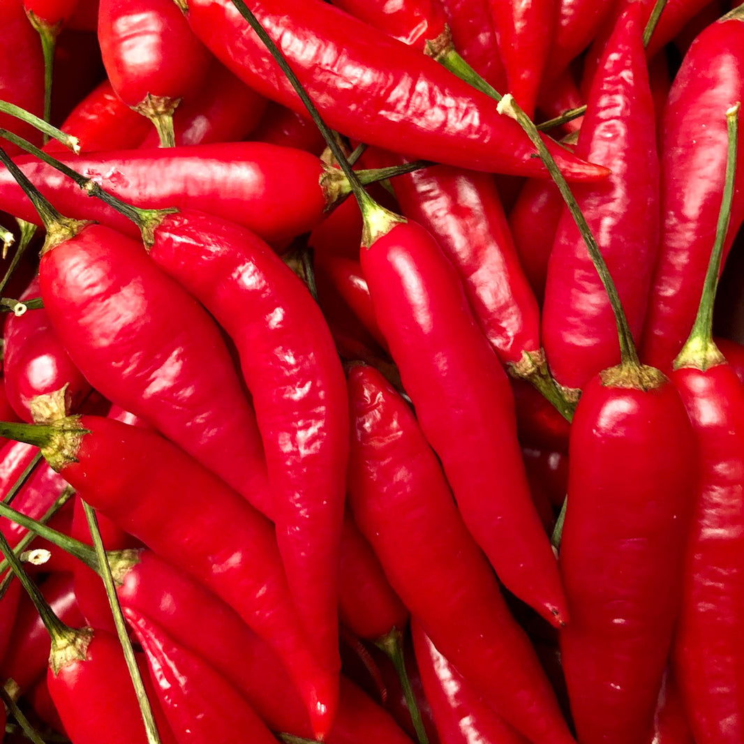 Aji Pepper Seeds | Pepper Joe’s