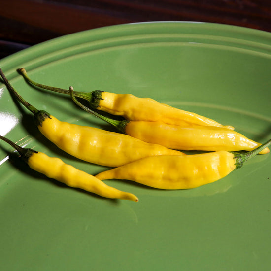 Aji Pineapple Pepper Seeds – Pepper Joe’s