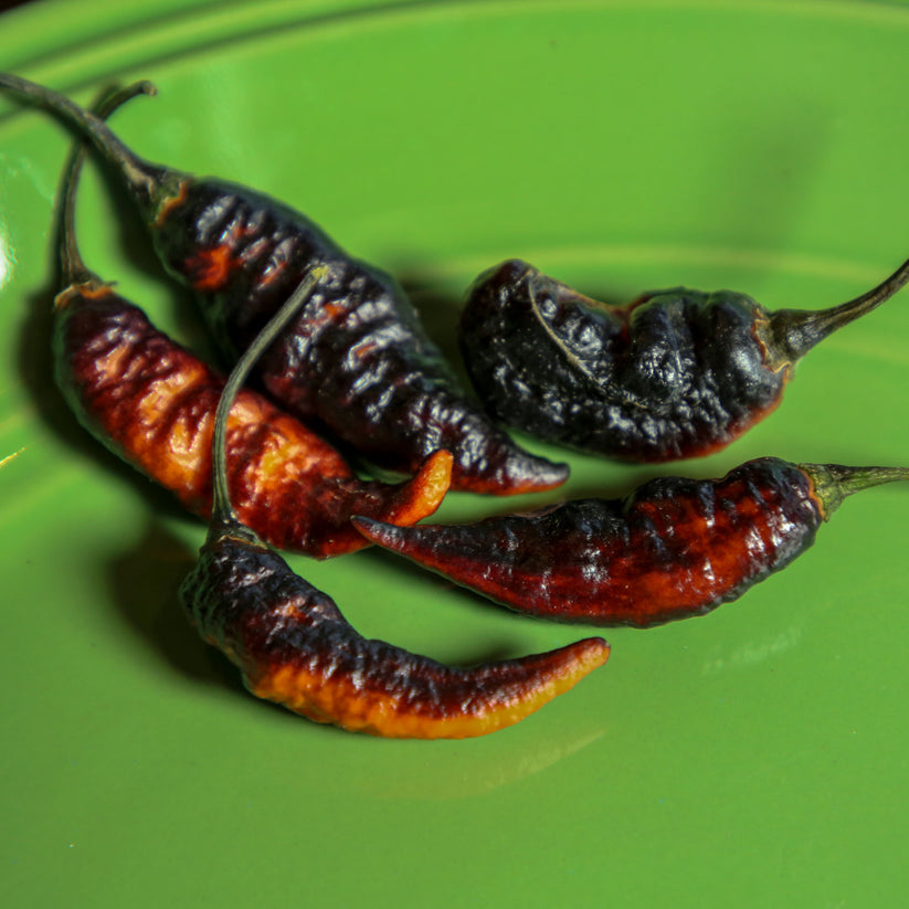Black Panther Pepper Seeds – Pepper Joe’s