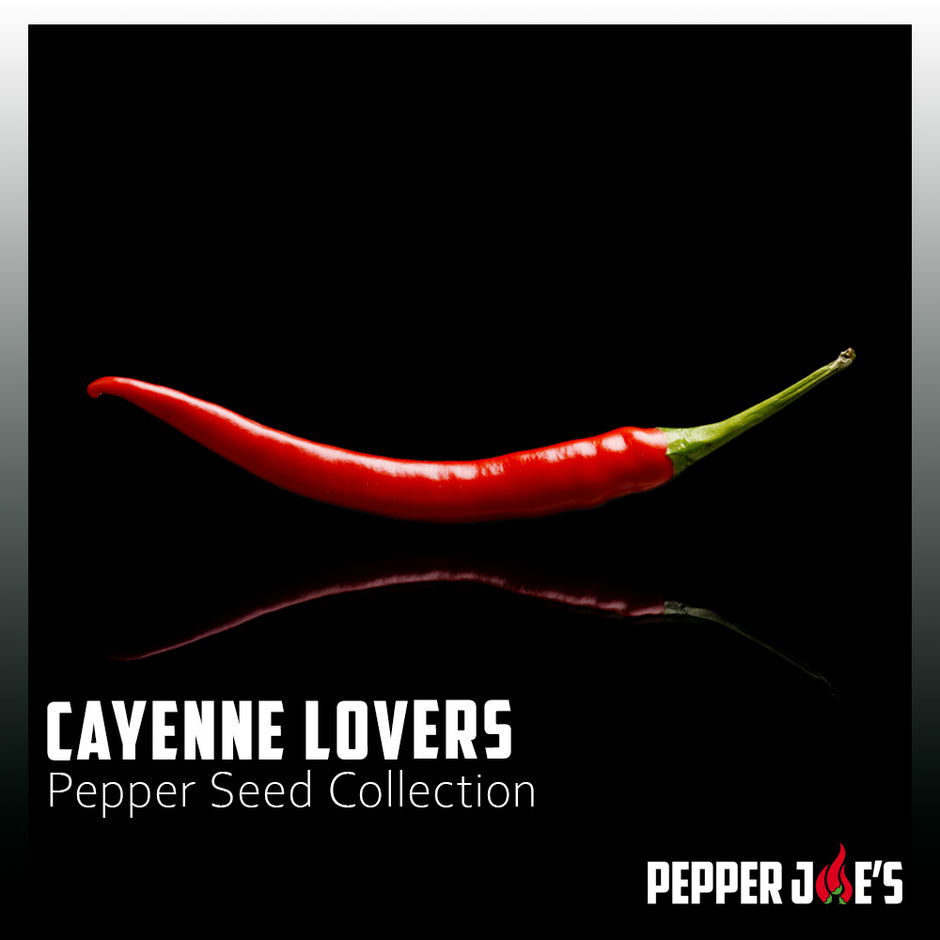 Cayenne Pepper Seeds | Pepper Joe’s
