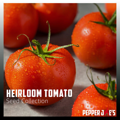 Heirloom Tomato Seeds Set | Rare Tomato Seed Variety Pack – Pepper Joe’s