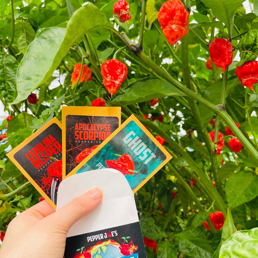 Super Hot Pepper Seed Grow Kit – Pepper Joe’s