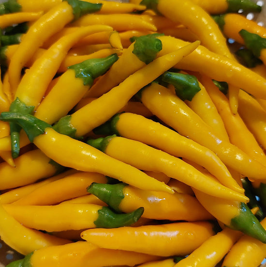 Kristian Pepper Seeds – Pepper Joe’s