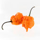 Orange Carolina Reaper Pepper Seeds – Pepper Joe’s