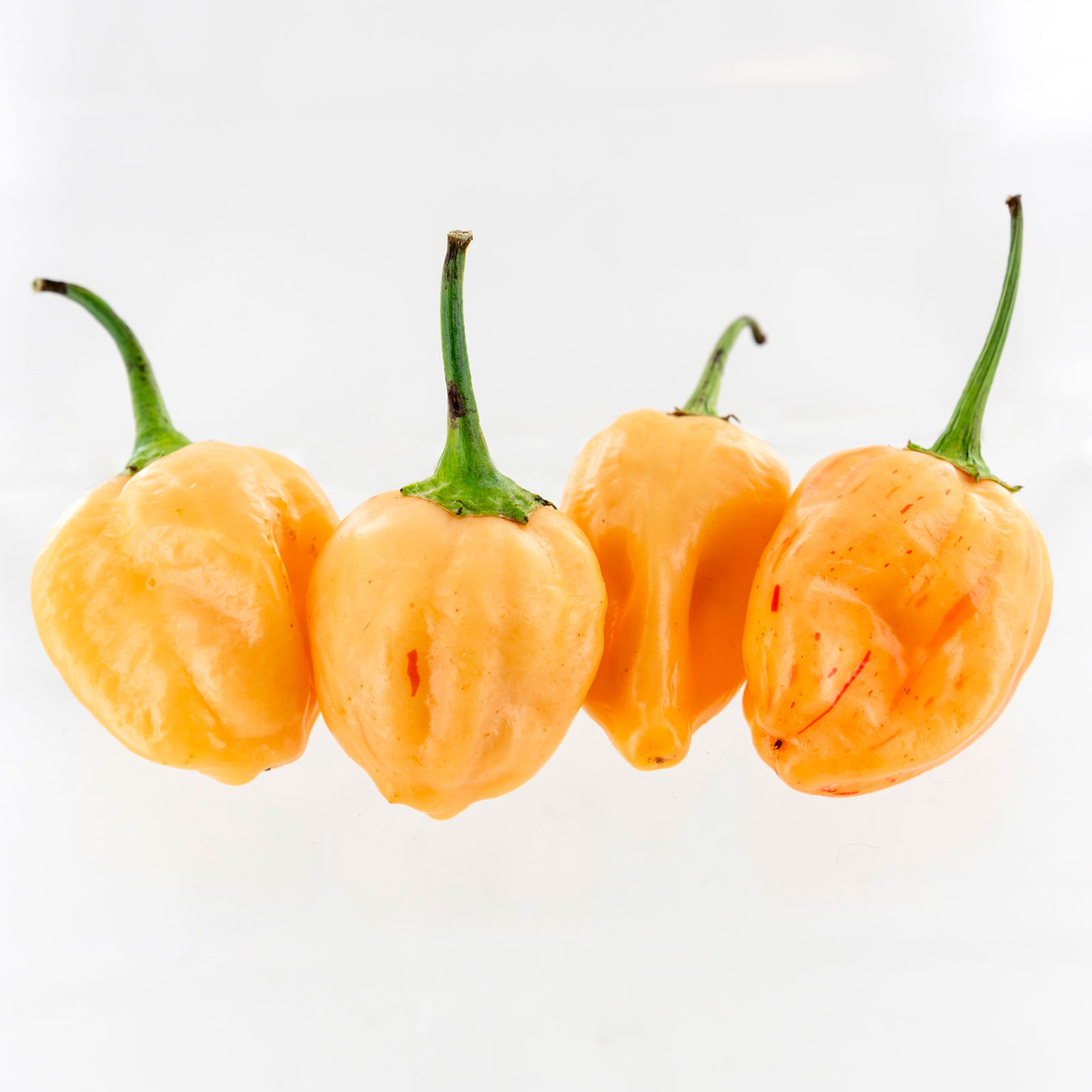 Peachadew Pepper Seeds – Pepper Joe’s