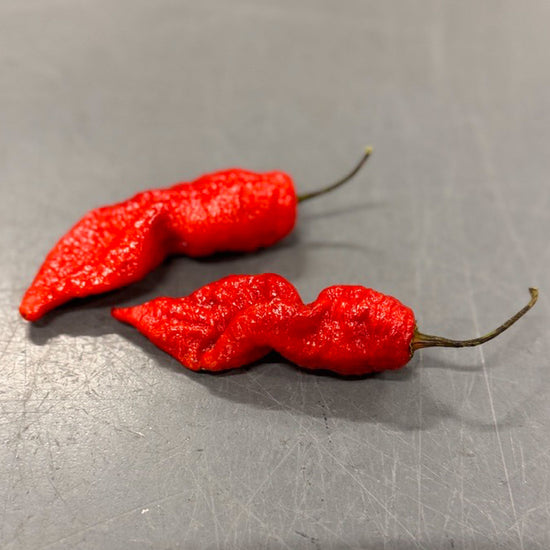 Death Spiral Pepper Seeds – Pepper Joe’s