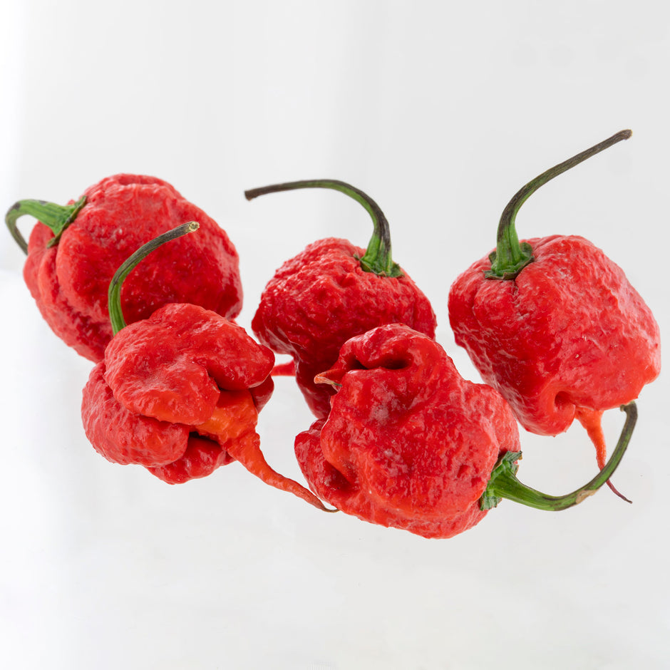 Pepper Joe's | Hot Pepper Seeds | 300+ Varieties | Same Day Shipping ...