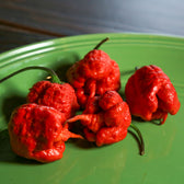 Purple Death Pepper Seeds – Pepper Joe’s