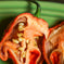 Purple Death Pepper Seeds – Pepper Joe’s