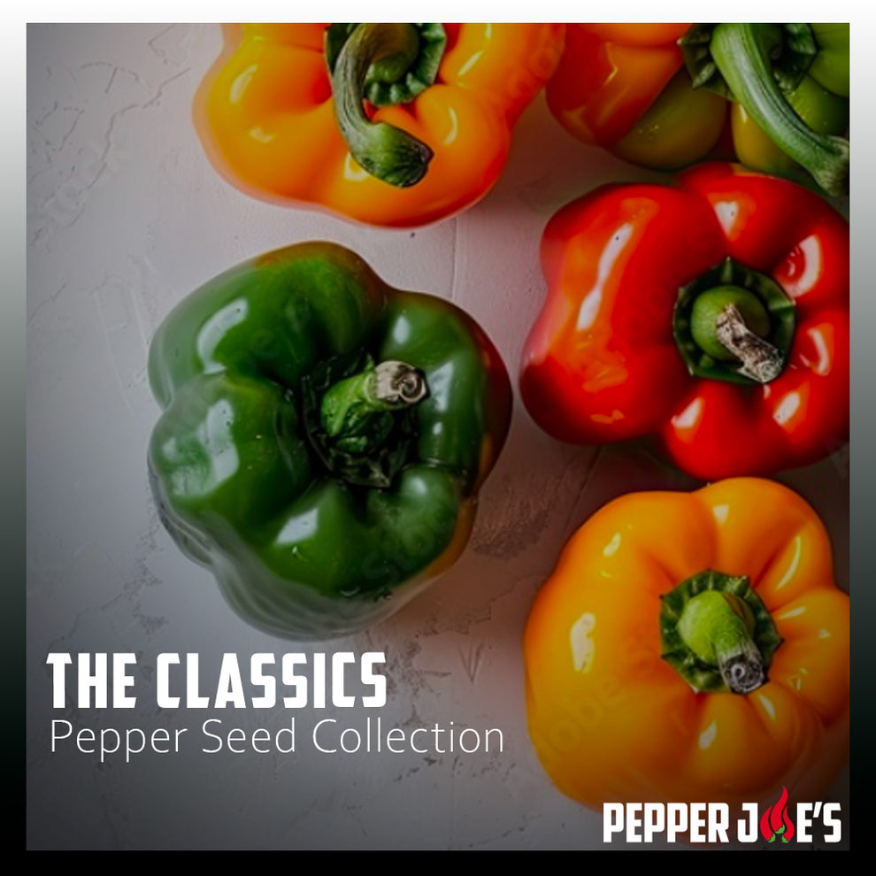 The Classics Pepper Seed Collection – Pepper Joe’s
