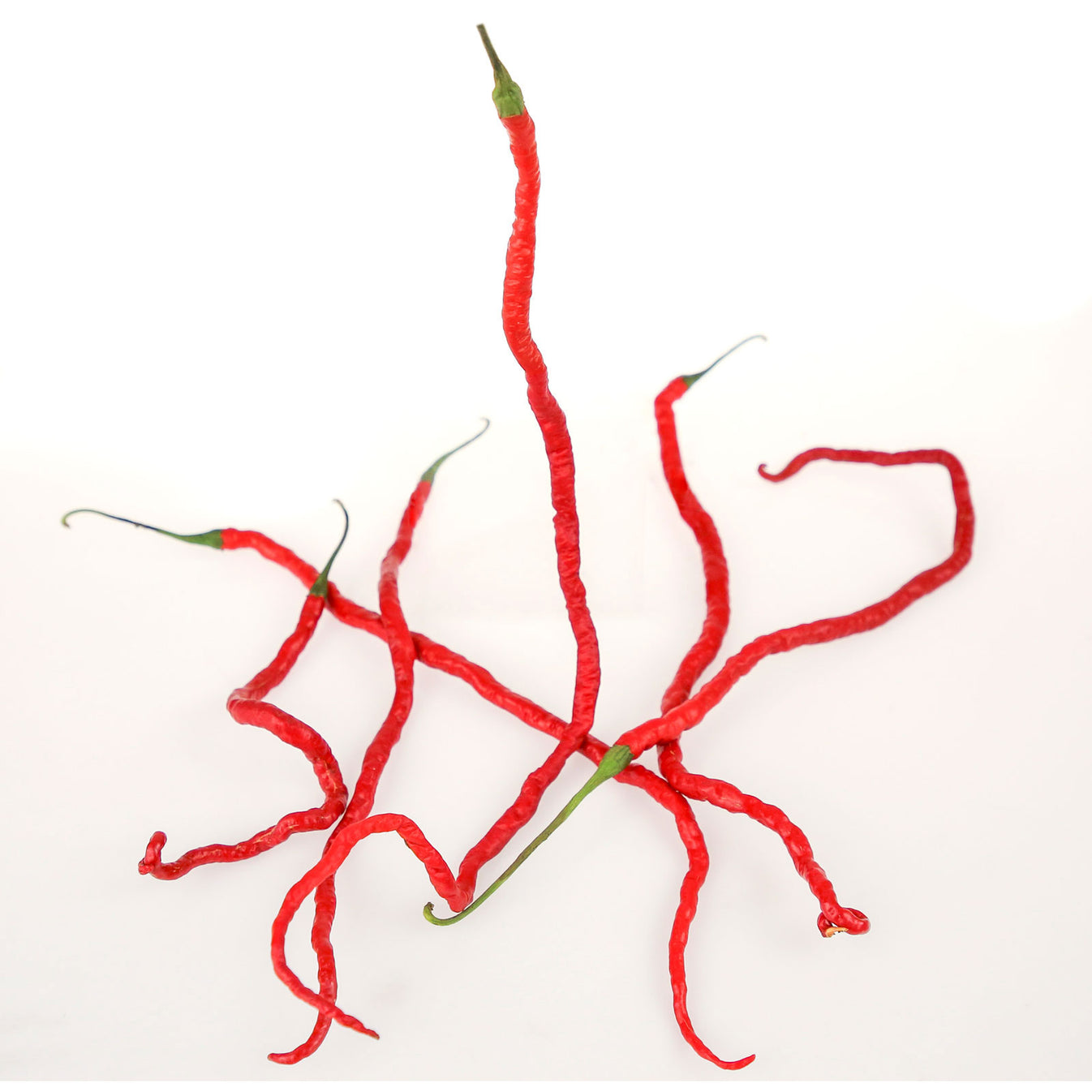 Thunder Mountain Longhorn Pepper Seeds – Pepper Joe’s