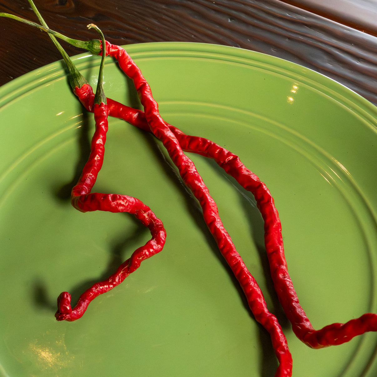 Thunder Mountain Longhorn Pepper Seeds – Pepper Joe’s