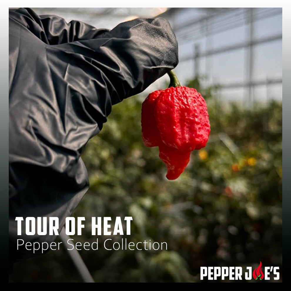 Tour of Heat Super Hot Seed Collection – Pepper Joe’s