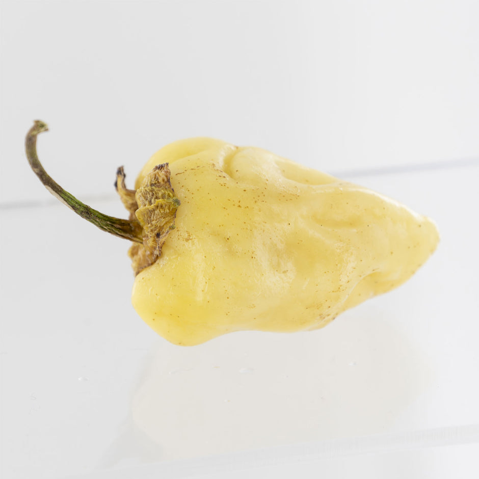 7 Pot Pepper Seeds | Pepper Joe’s