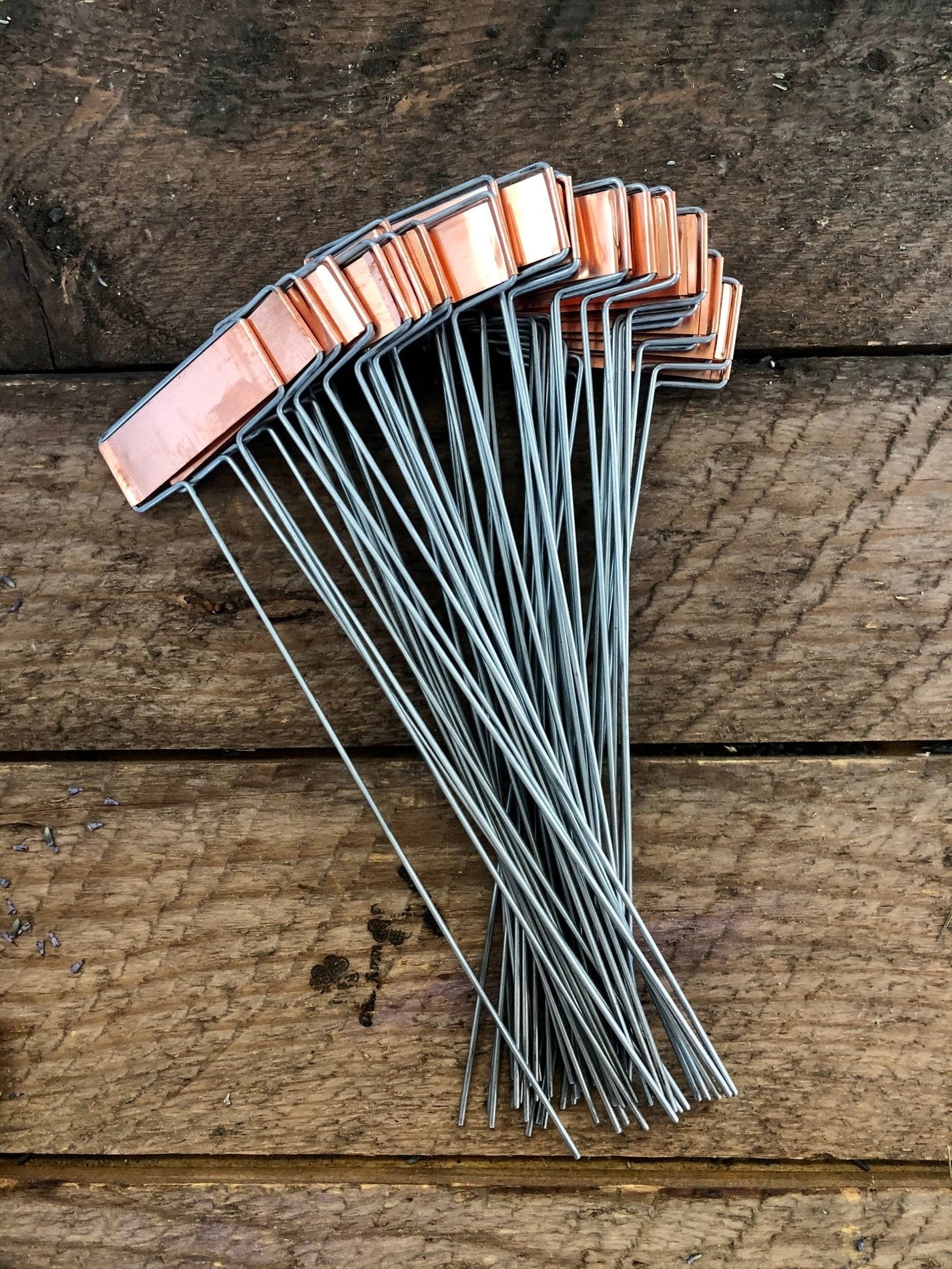 Copper Plant Tags - Garden Markers Set – Pepper Joe’s
