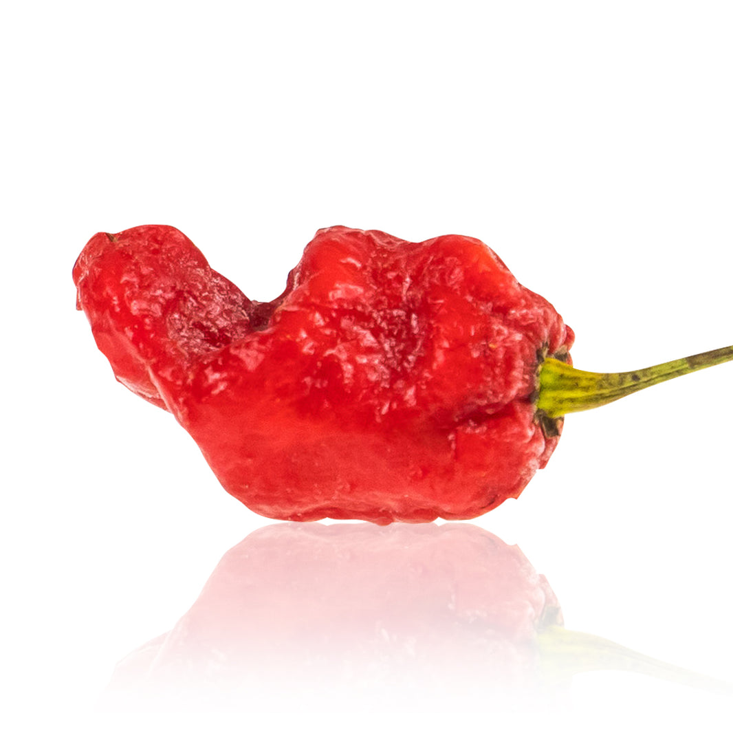 7 Pot Pepper Seeds | Pepper Joe’s