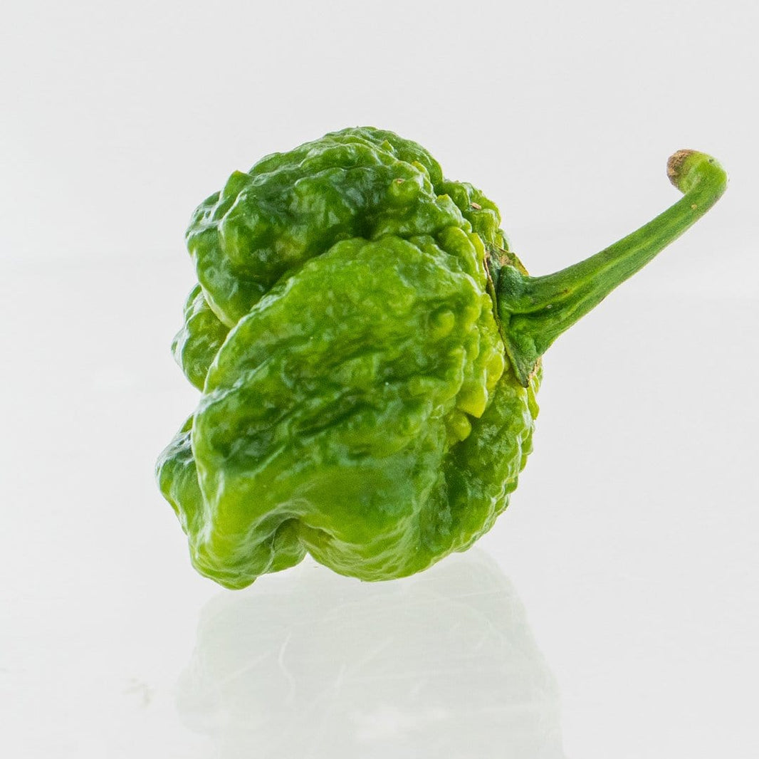 7 Pot Pepper Seeds | Pepper Joe’s