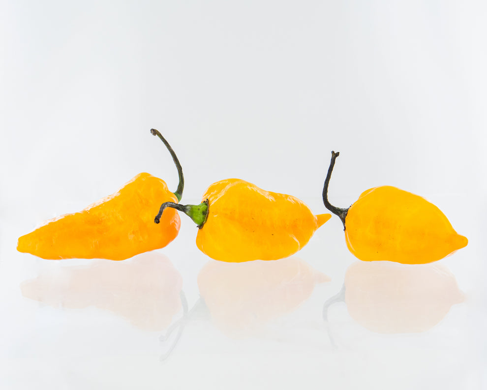 Bonda ma Jacques Pepper Seeds (Non-Isolated) – Pepper Joe’s