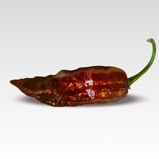 Chocolate Fatali Pepper Seeds – Pepper Joe’s