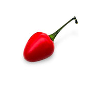 Costa Rican Chili Seeds – Pepper Joe’s