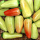 Jaloro Jalapeno Pepper Seeds – Pepper Joe’s