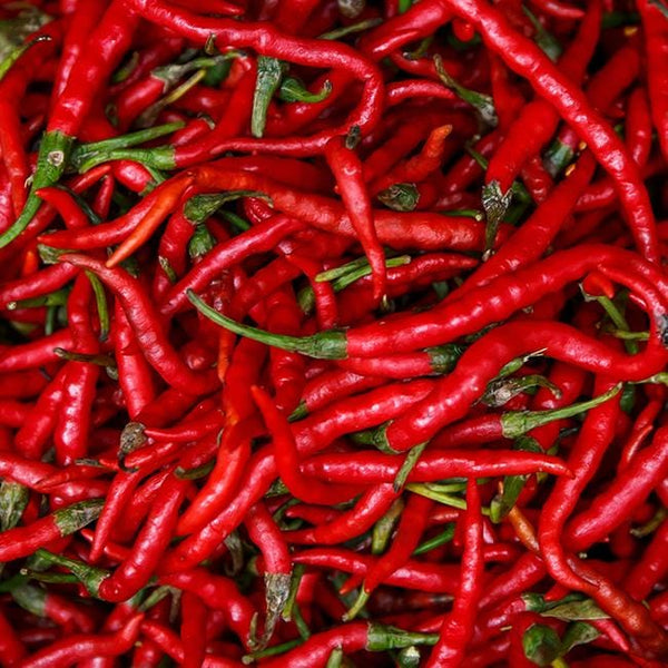 Long Red Narrow Cayenne Pepper Seeds – Pepper Joe’s