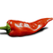Mirasol Pepper Seeds – Pepper Joe’s