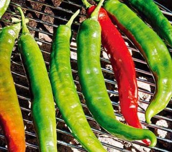 Italian Roaster Pepper Seeds – Pepper Joe’s