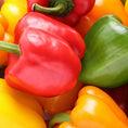 Rainbow Sweet Bell Pepper Seeds Mix – Pepper Joe’s
