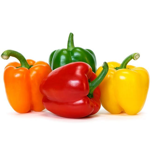 Rainbow Sweet Bell Pepper Seeds Mix – Pepper Joe’s
