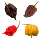 Reaper Madness Variety Pack Seeds – Pepper Joe’s