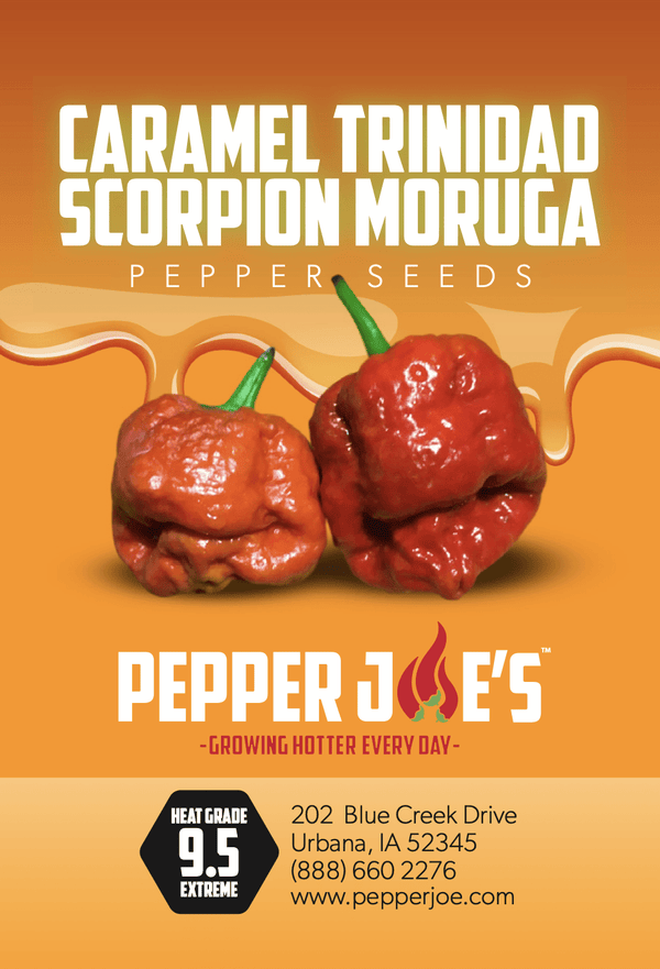 Caramel Trinidad Scorpion Moruga Pepper Seeds – Pepper Joe’s