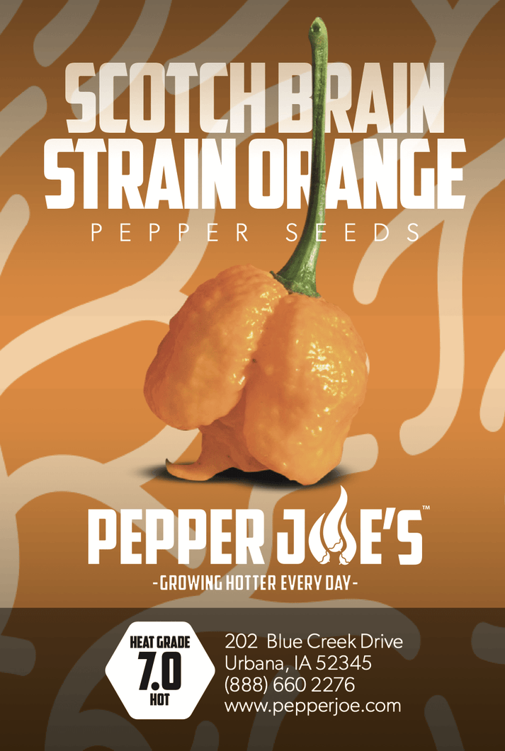 Scotch Brain Strain Orange Pepper Seeds – Pepper Joe’s