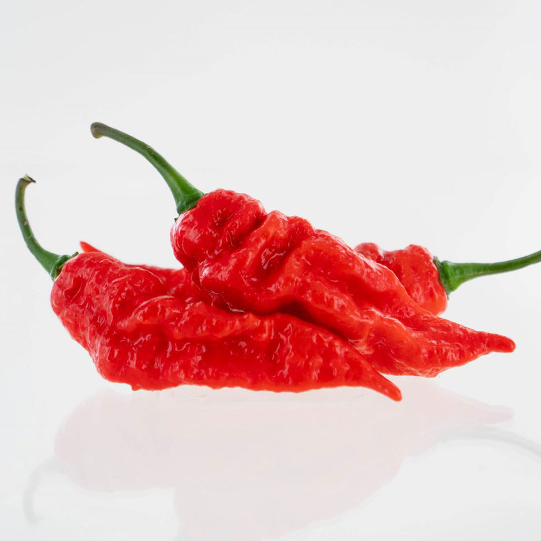 Carolina Reaper Seeds – Pepper Joe’s